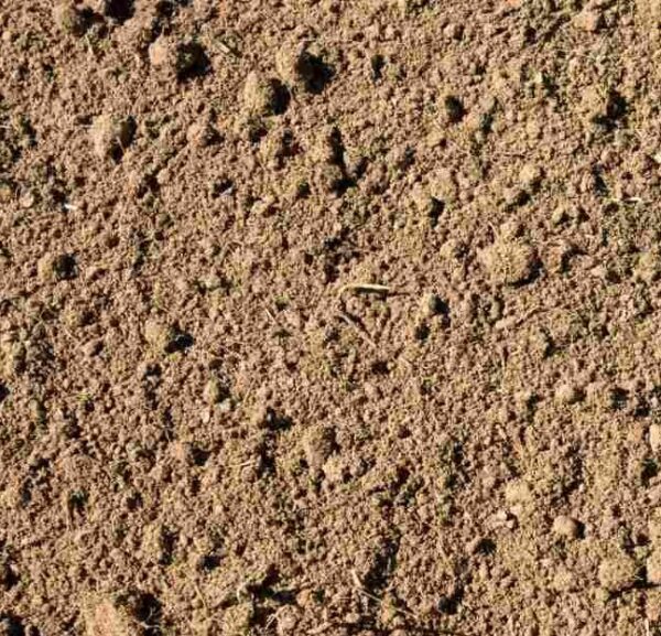 Bodemsoorten – Greentraders by Anrob | De Martelaer